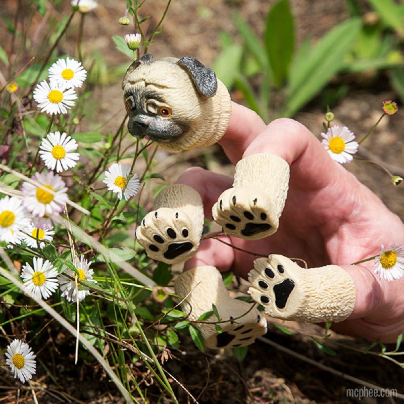 Handipug Turns Your Hand into a Pet Dog - GetdatGadget